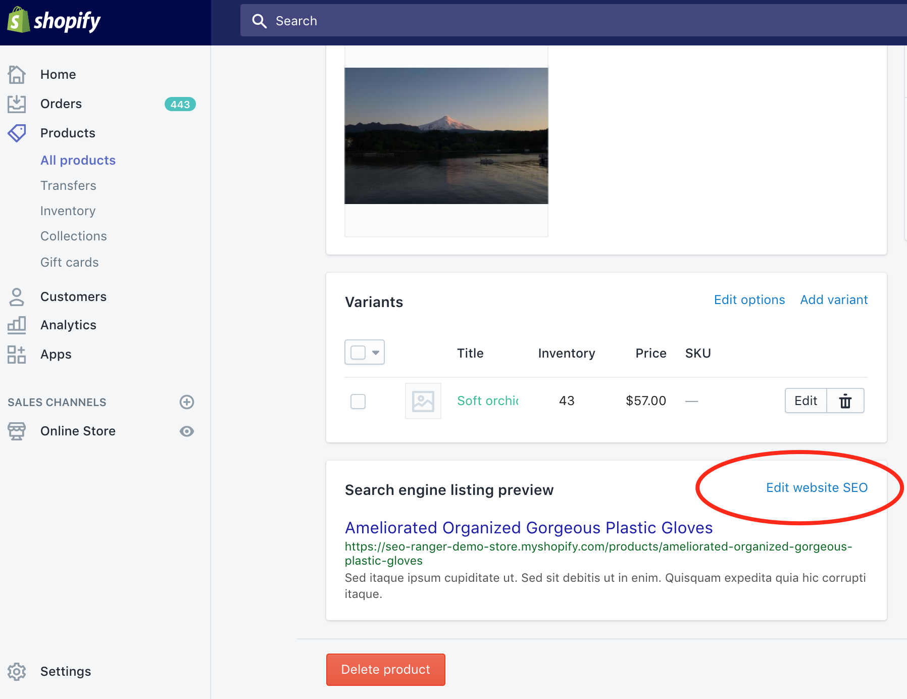 How To Fix Shopify SEO Metadata Step-by-Step (With Pictures) - Uplinkly ...